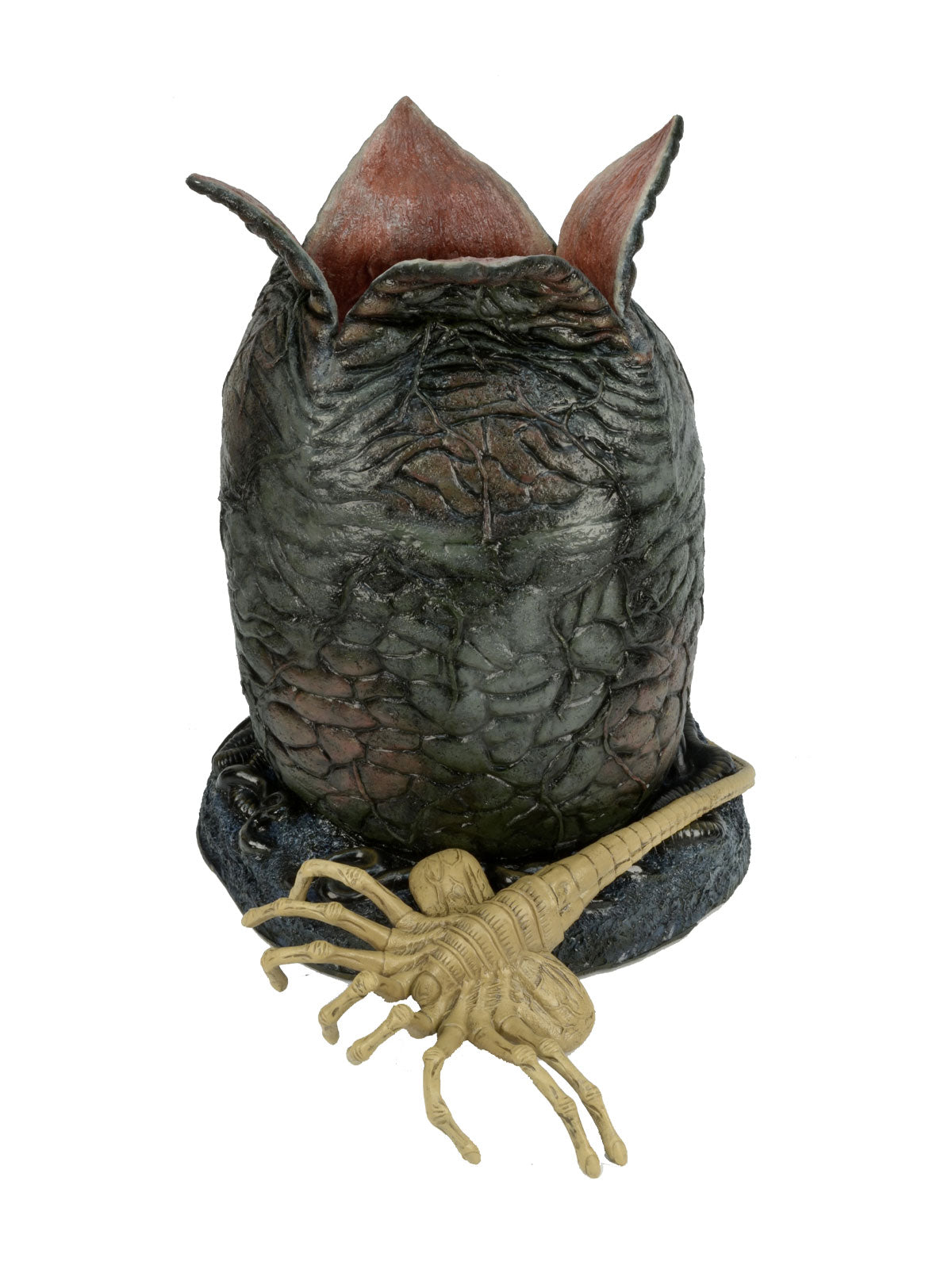 Life-Size Alien Egg & Facehugger Prop Replica – NECA Foam Collectible ...
